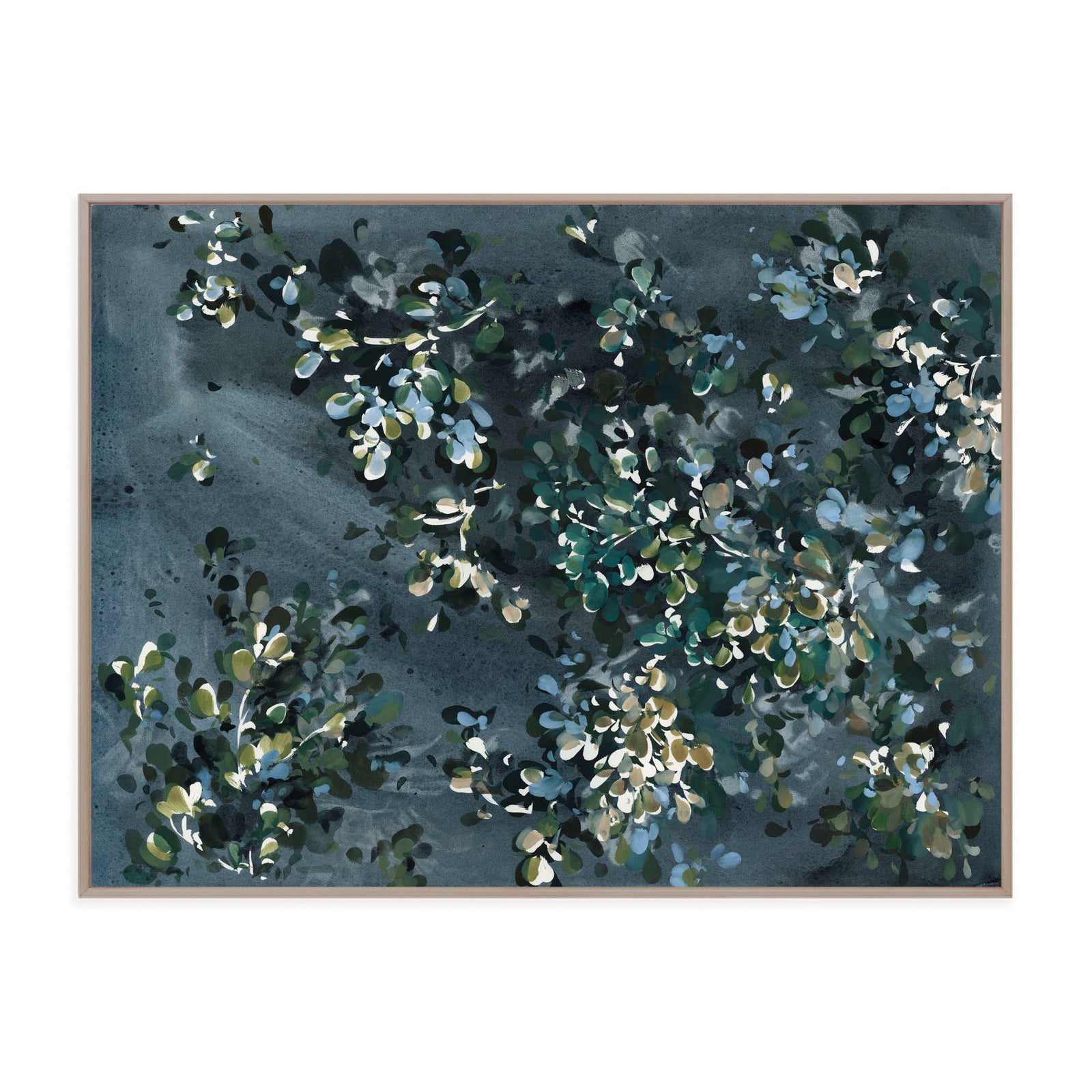Boxwood